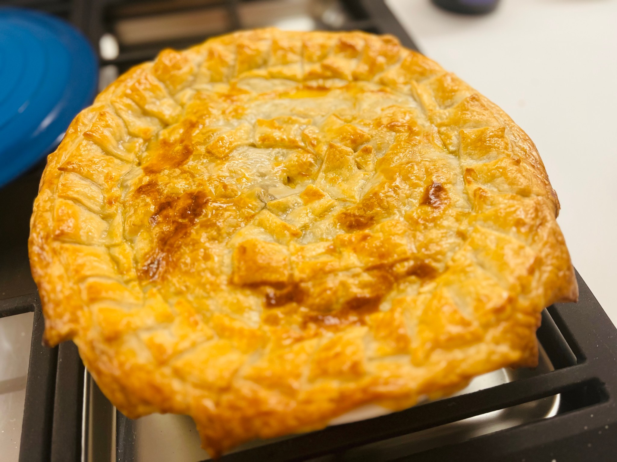 Bourke Street Bakery’s Humble Beef Pie – Robby Dog Cooks
